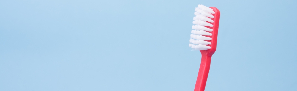 The 15 Best Manual & Electric Toothbrush Subscription Services, Compared