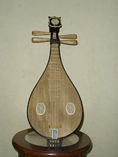 The Plucked Traditional Chinese Musical Instruments
