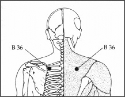 Effective Remedy for Flu and Cold in Acupressure Therapy