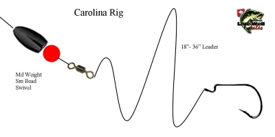 How to Rig Soft Plastics for Bass Fishing